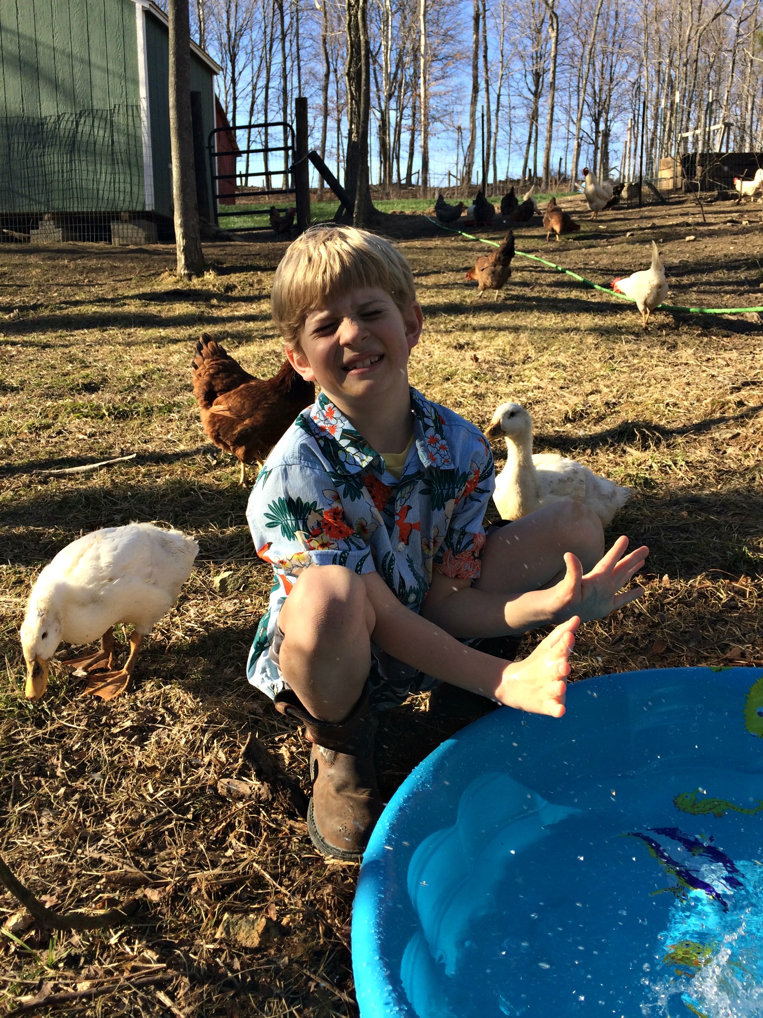 Ping Gets a Pool – Farm Fresh For Life – Real Food for Health & Wellness
