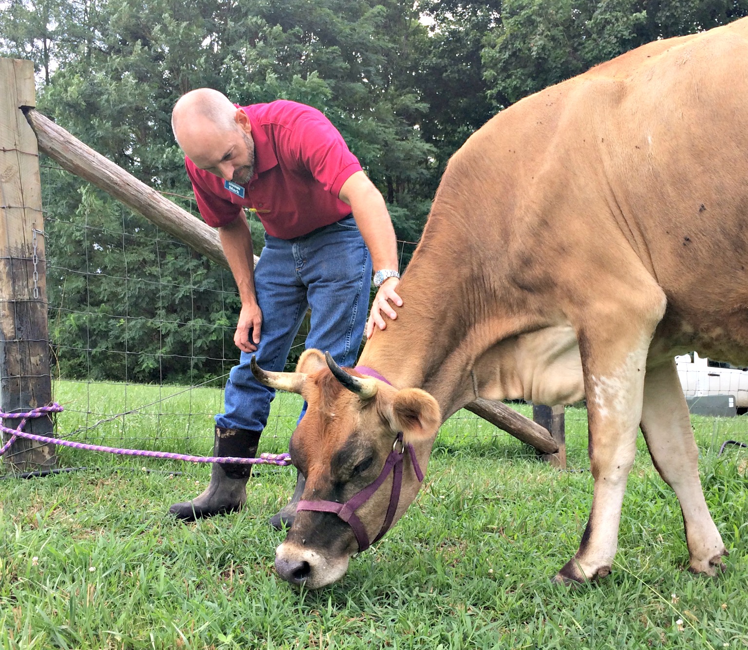 Horn Tipping – Farm Fresh For Life – Real Food for Health & Wellness
